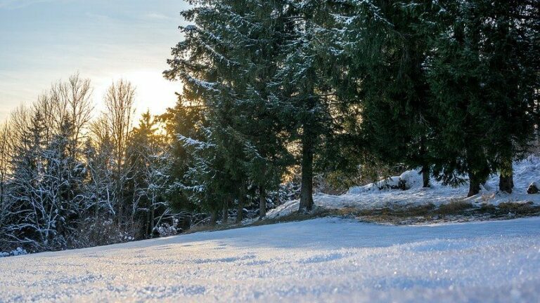 Which Is Correct: “Wintry,” “Wintery,” Or “Winterly”? » Ranking Articles